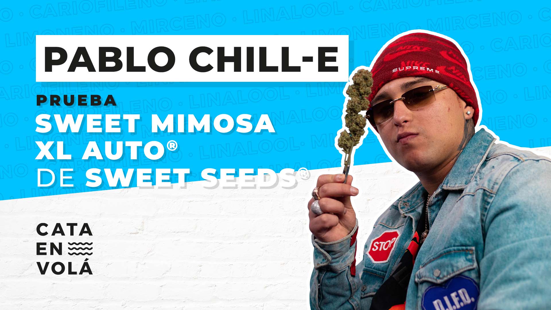 PABLO CHILL-E EN ENVOLÁ - En Volá