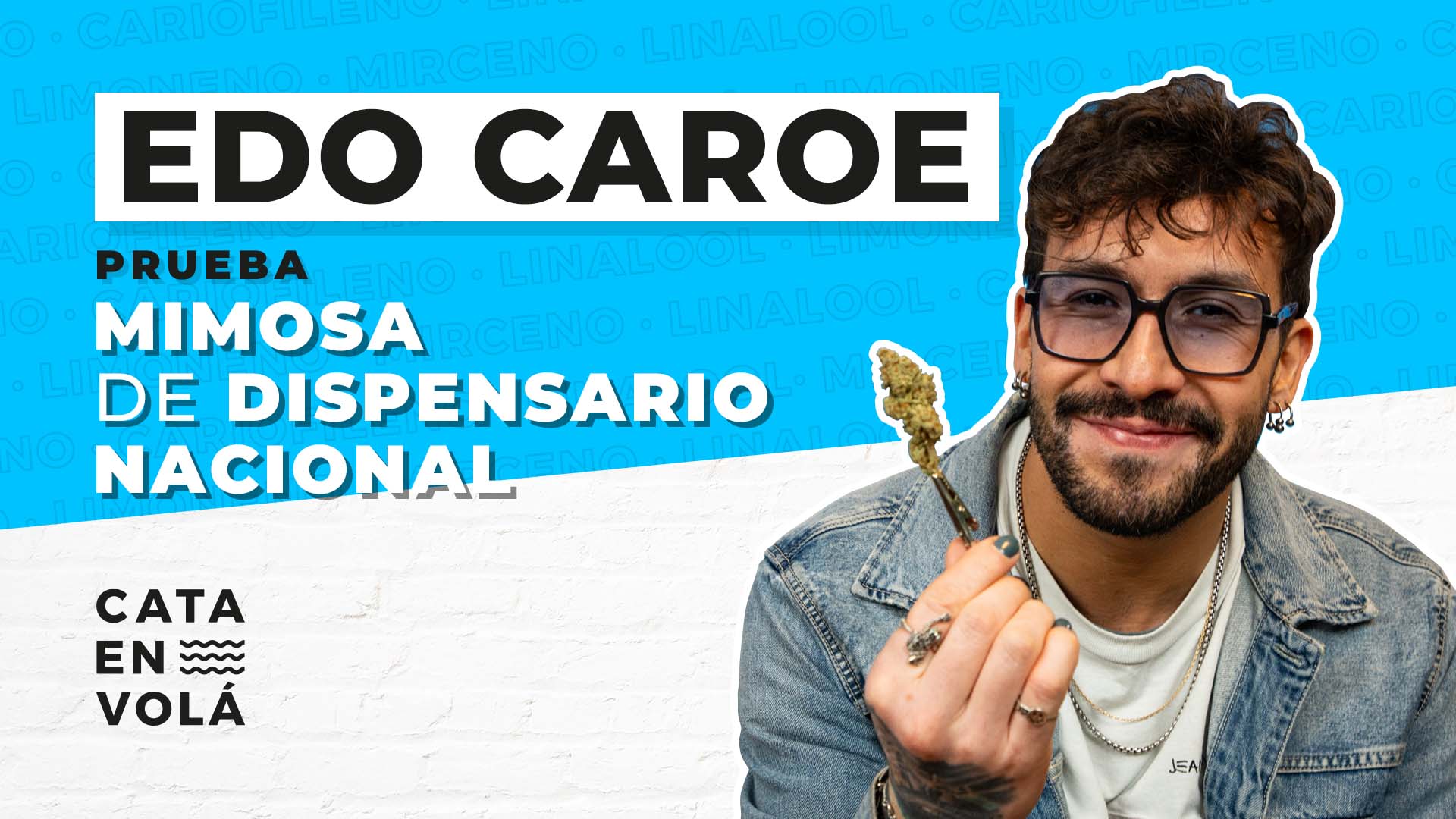 CONTENIDO - CATA - En Volá