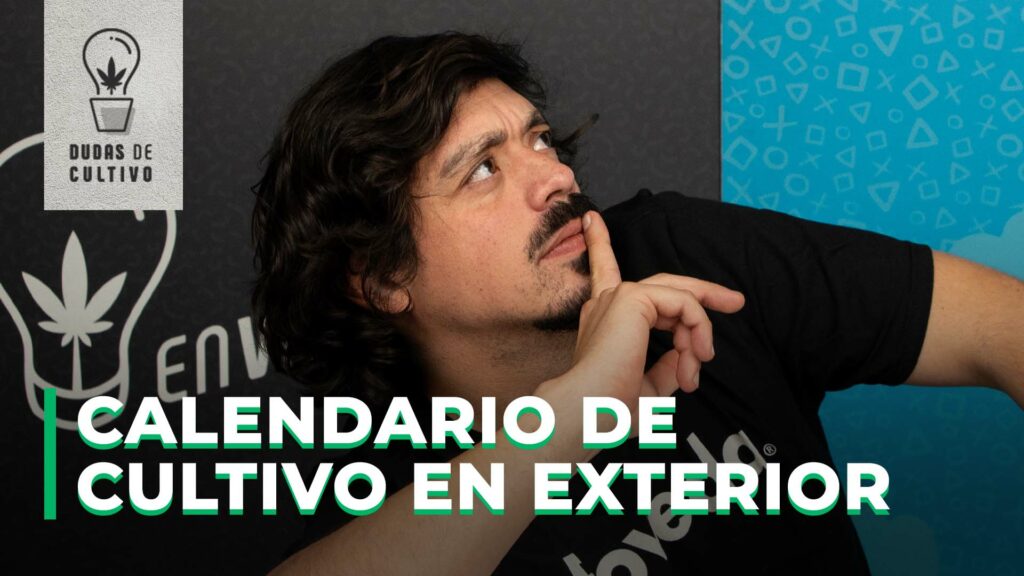 Cultivo En Volá
