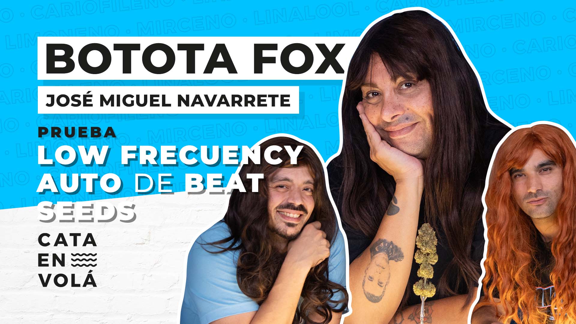 BOTOTA FOX EN CATAS EN VOLÁ - En Volá