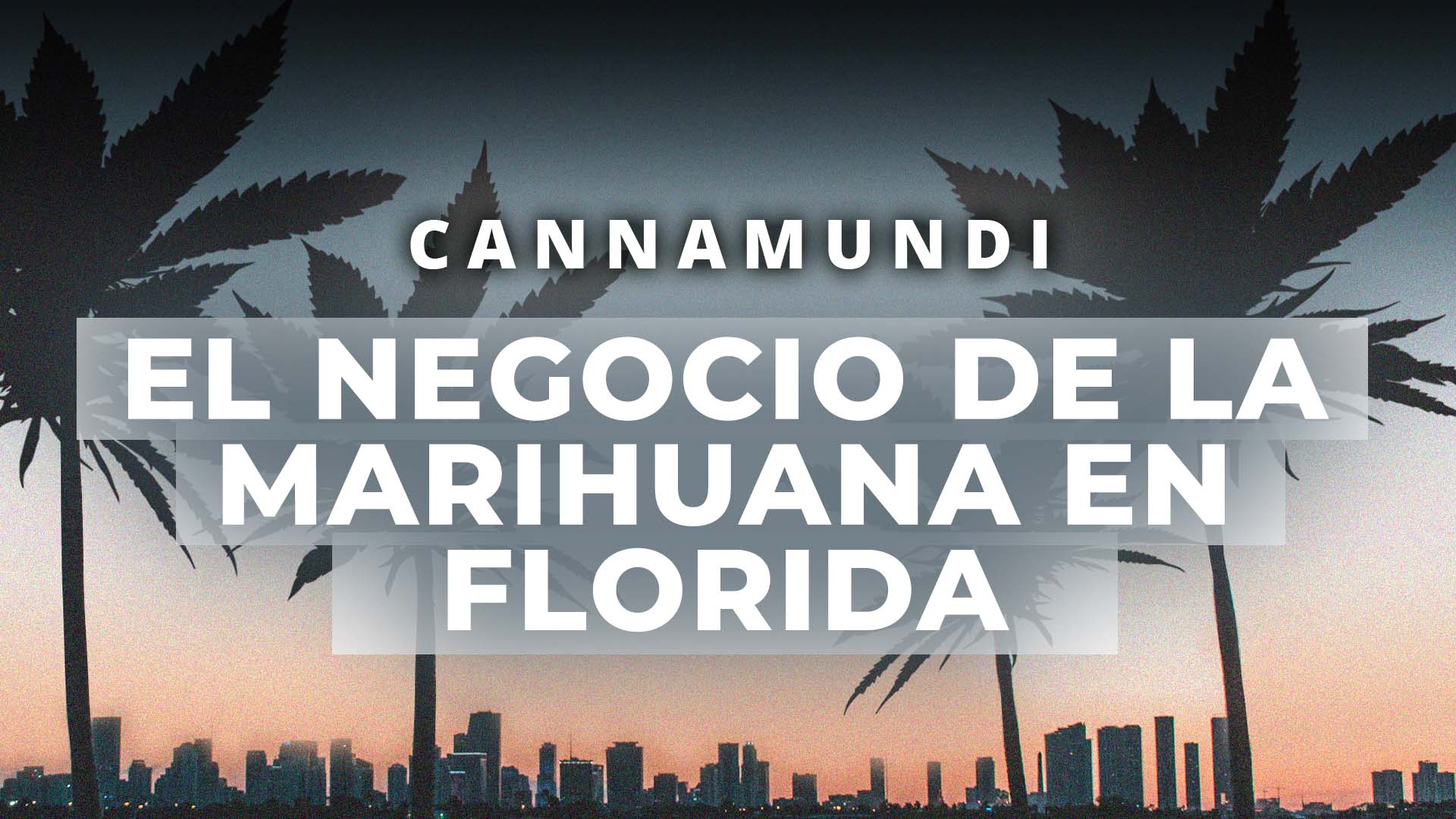 Cannamundi El Negocio De La Marihuana En Florida En Volá