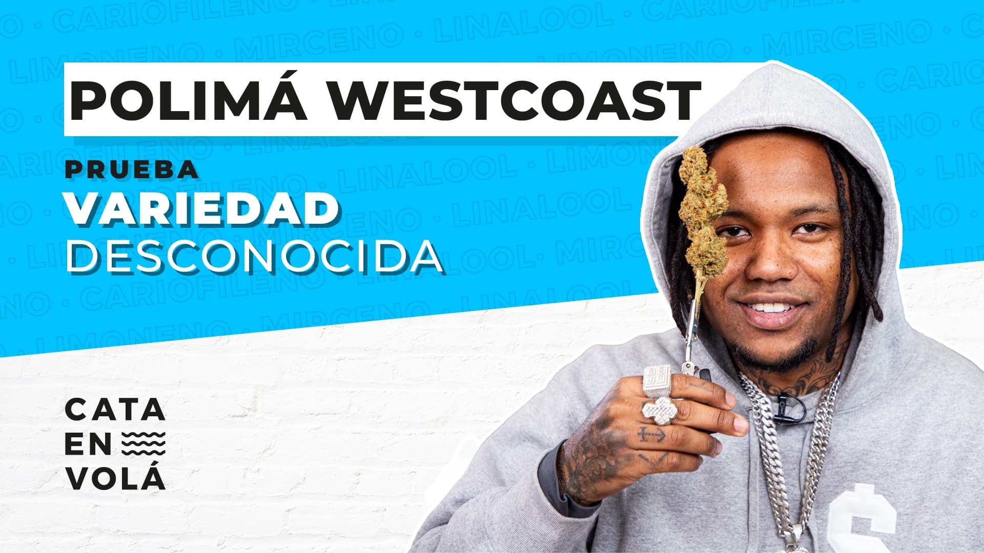 POLIMÁ WESTCOAST EN CATÁ EN VOLÁ - En Volá